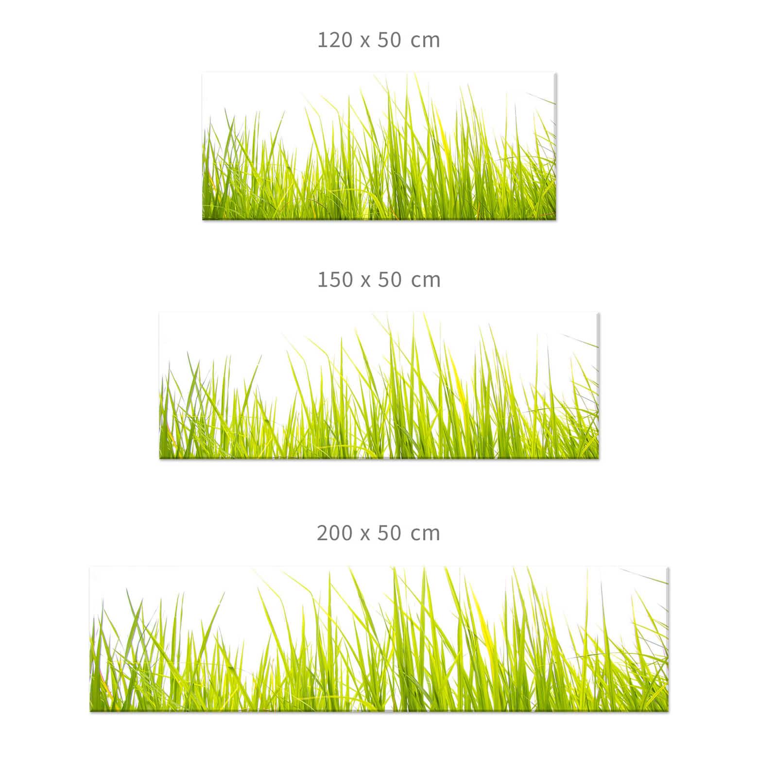 Keukenachterwand Hoog Gras | wall-art.nl