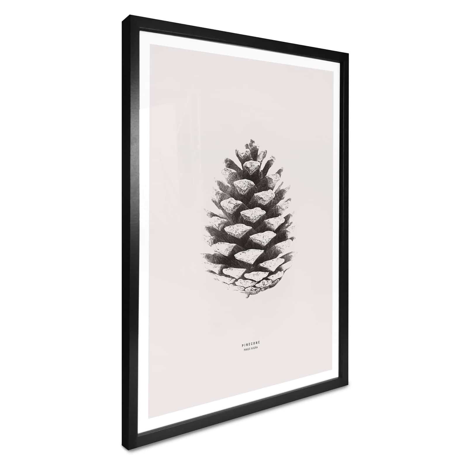 Poster Pommes de pin | wall-art.fr