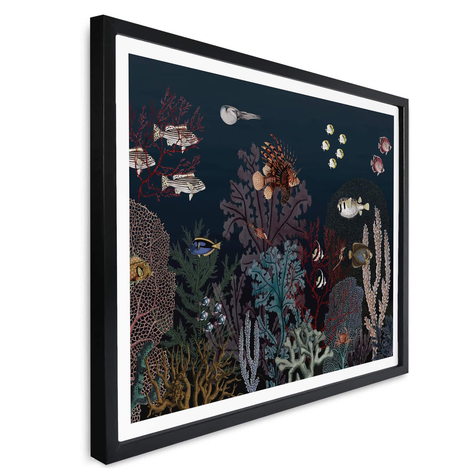 Poster Sir Edward - Tief im Ozean | wall-art.de