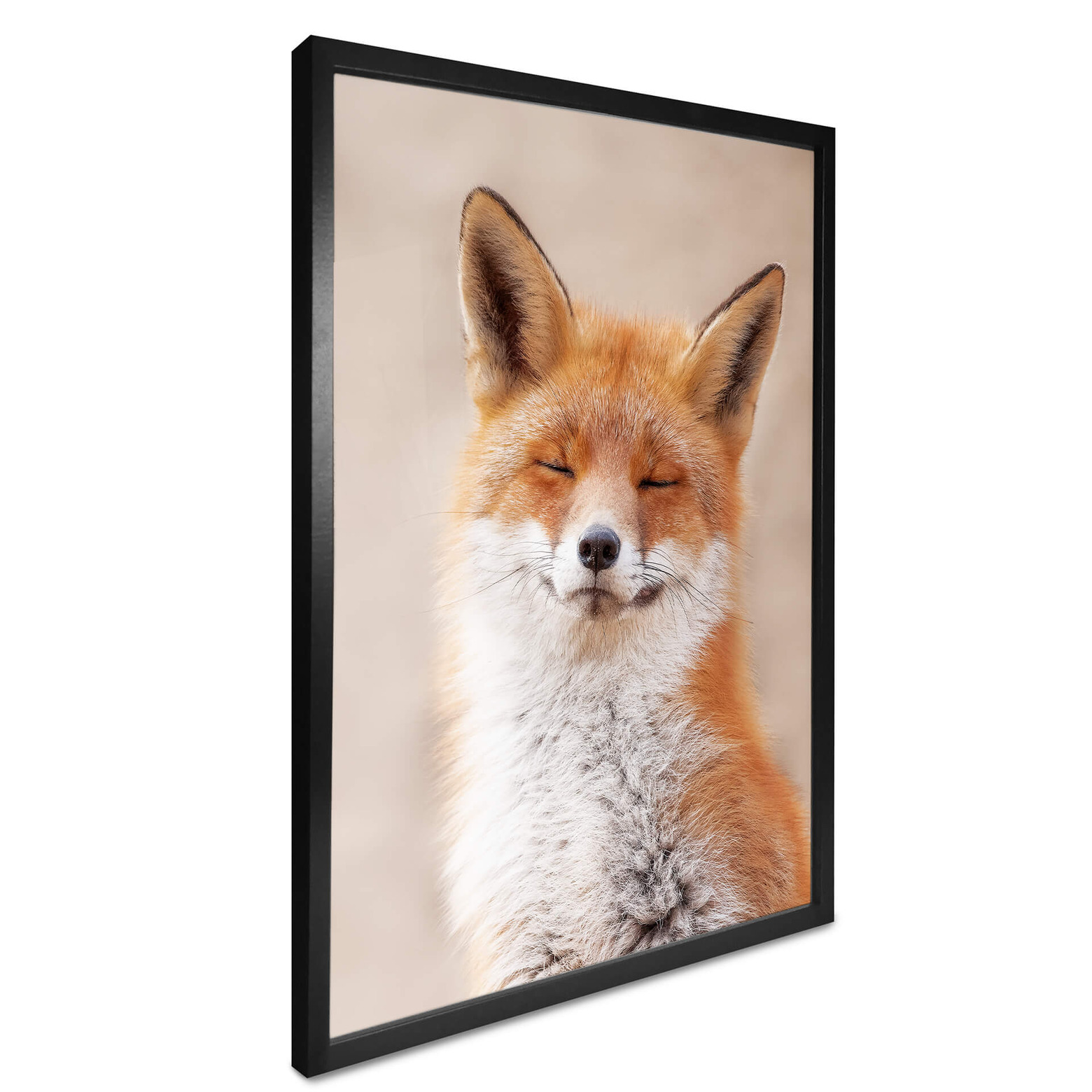 Poster van Duijn - Zufriedener Fuchs | wall-art.de