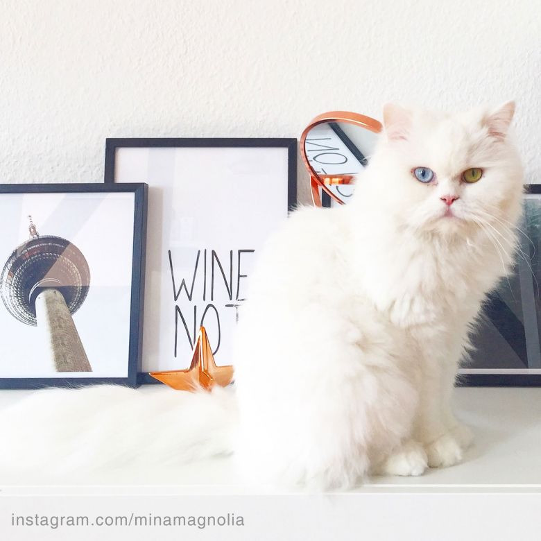 Poster Wine Not | wall-art.de