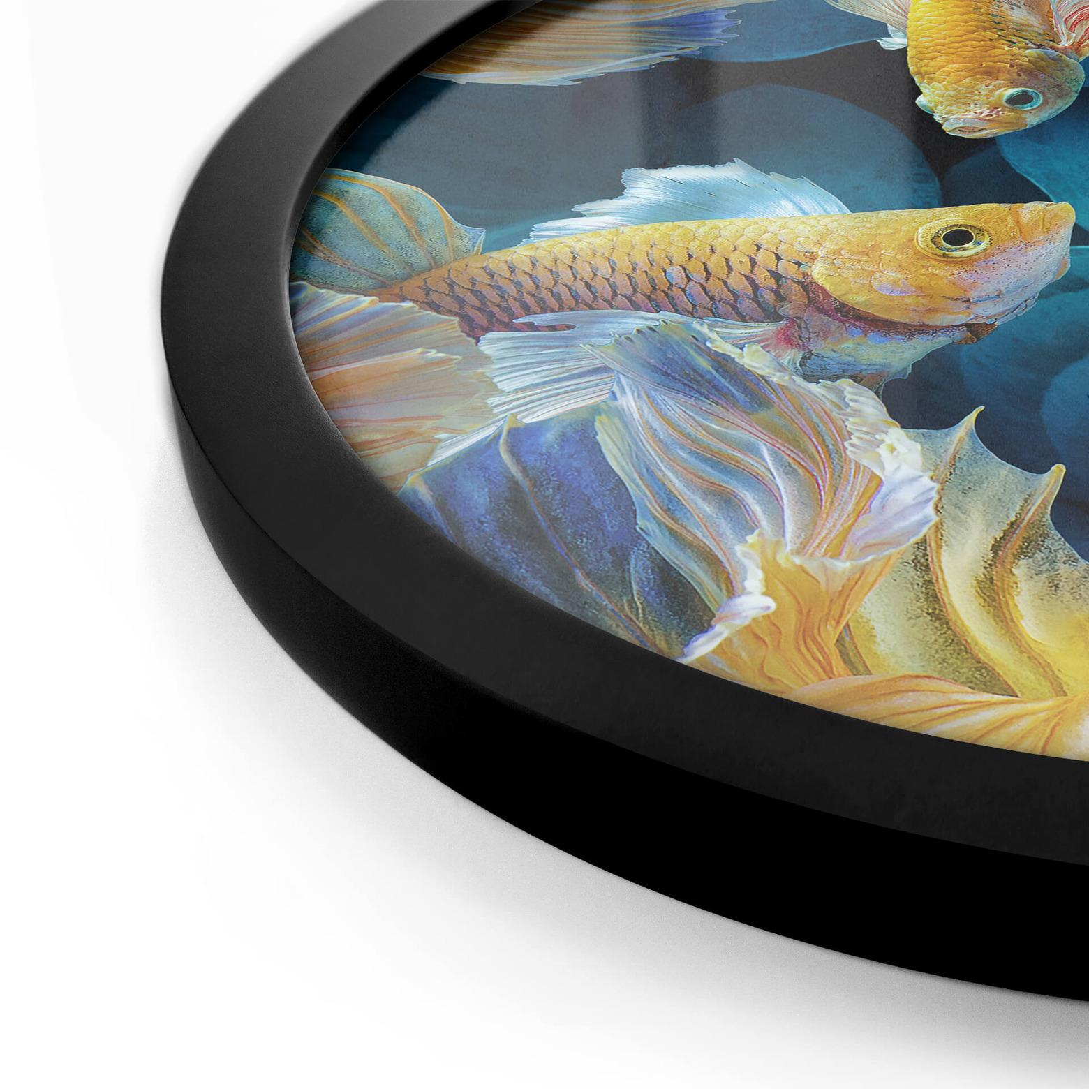 Poster Egger - Farbenfrohe Fische - Rund | wall-art.de