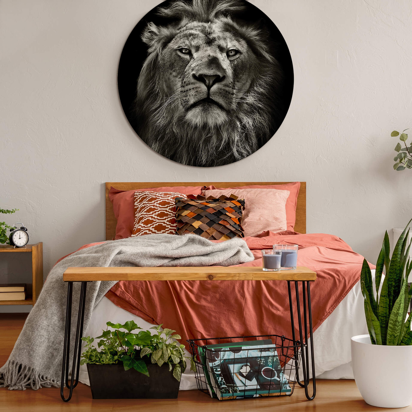Alu-Dibond Lion - Rund | wall-art.de