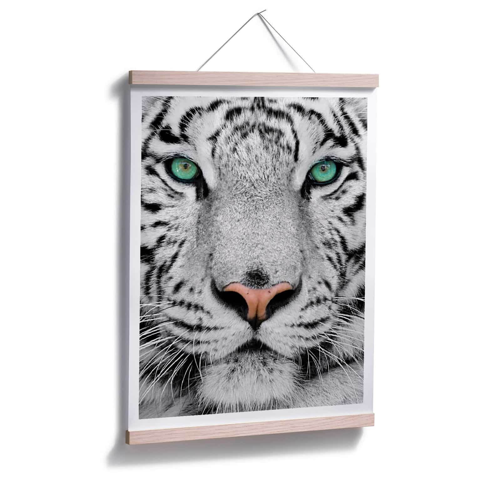 Poster Gorgeous Sumatran Tiger | wall-art.de