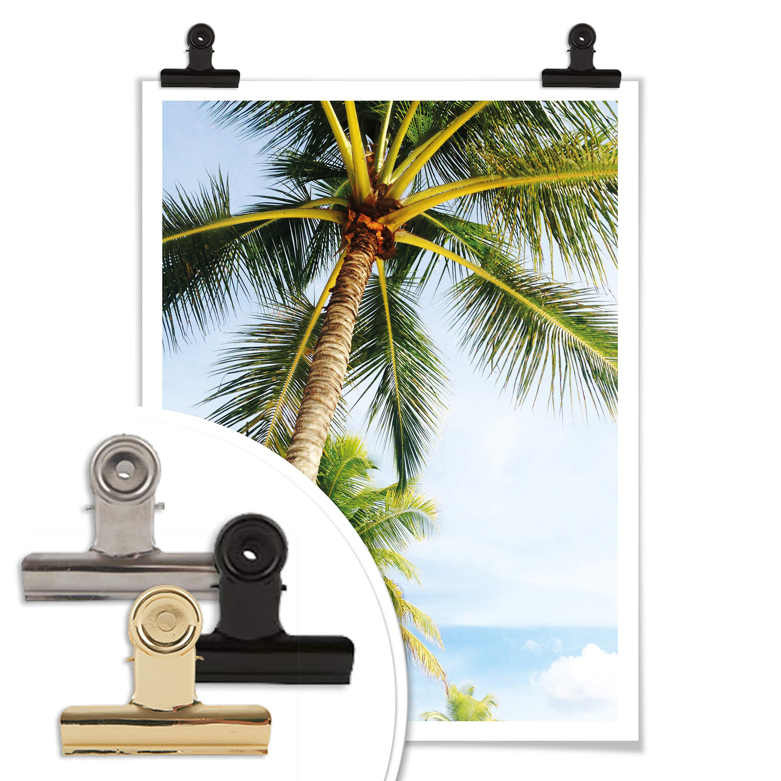 Poster - Palmen 07 | wall-art.de