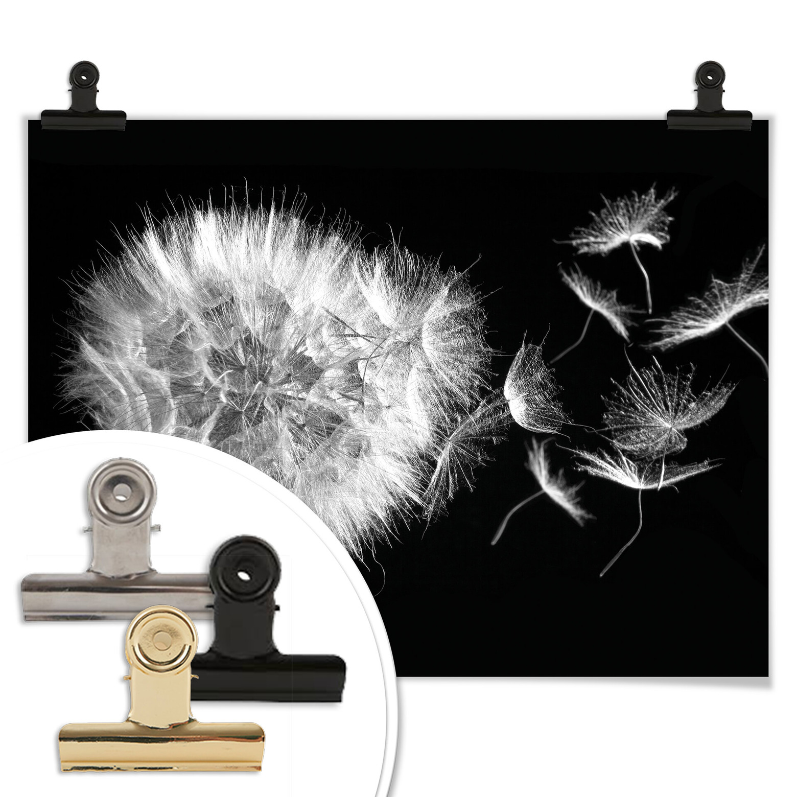 Poster Pusteblume | wall-art.de