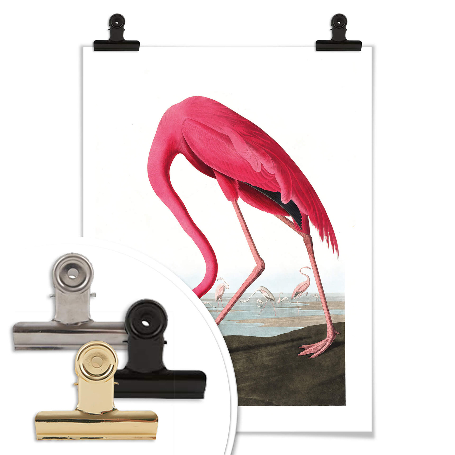 Poster Flamant rose | wall-art.fr