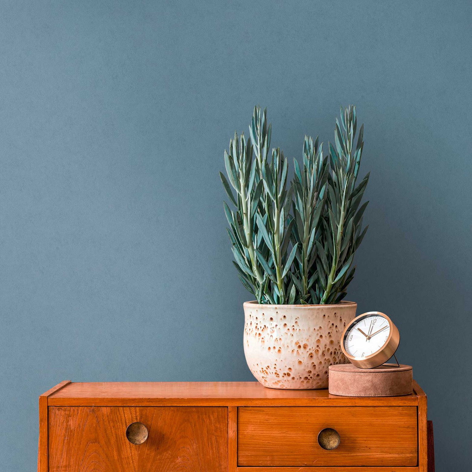 Mat blå ensfarvet tapet - moderne non-woven tapet - tapet med glat ...