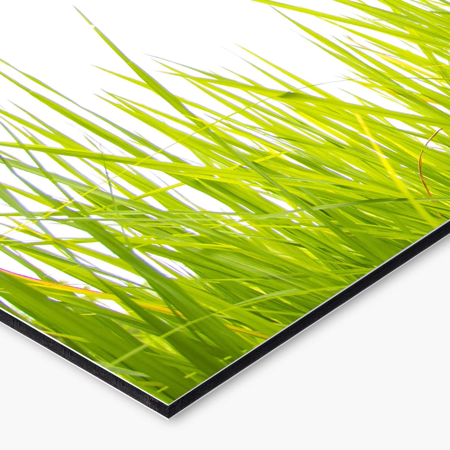 Keukenachterwand Hoog Gras | wall-art.nl