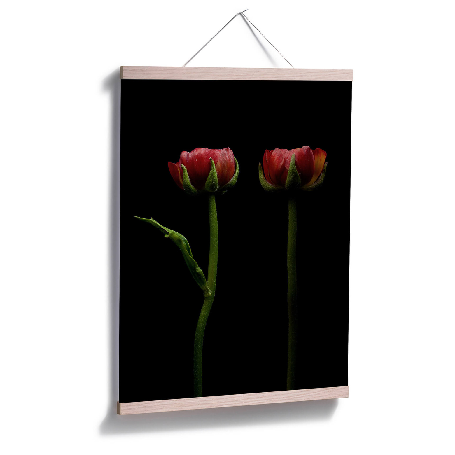 Plakat - To røde ranunkler | wall-art.dk