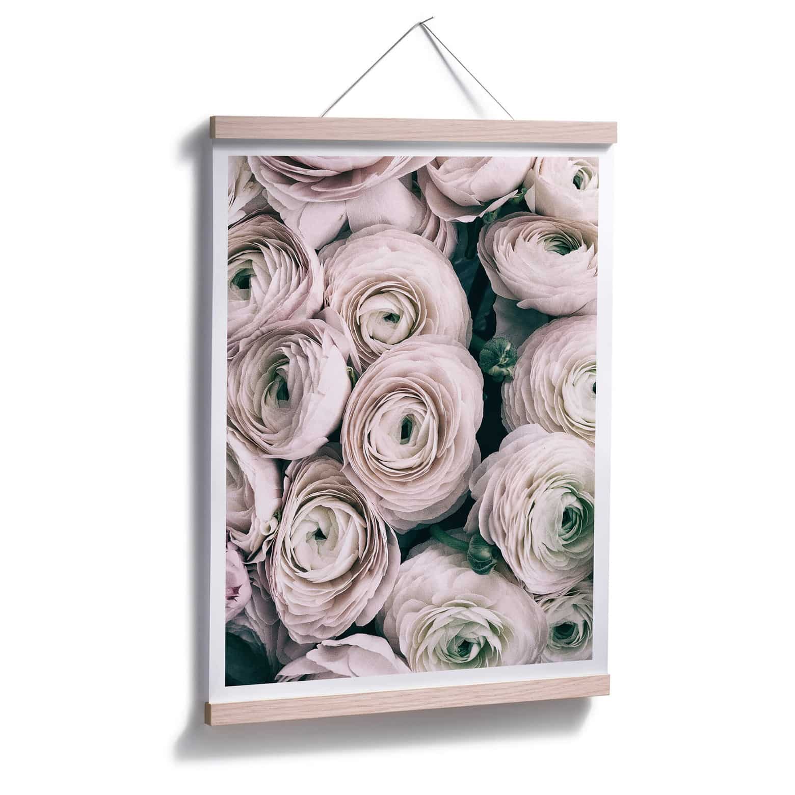 Poster Vintage Ranunkel | wall-art.de