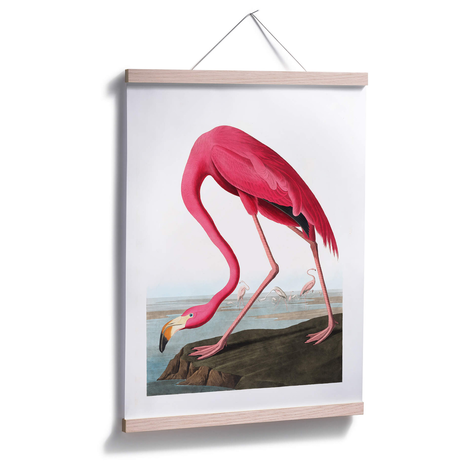 Poster Pink Flamingo | wall-art.de