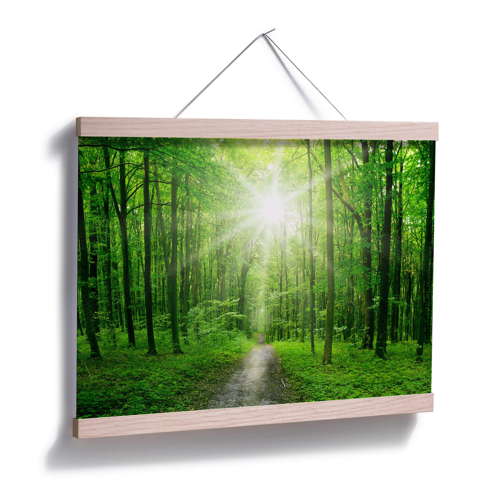 Poster - Sunset Forest | wall-art.fr