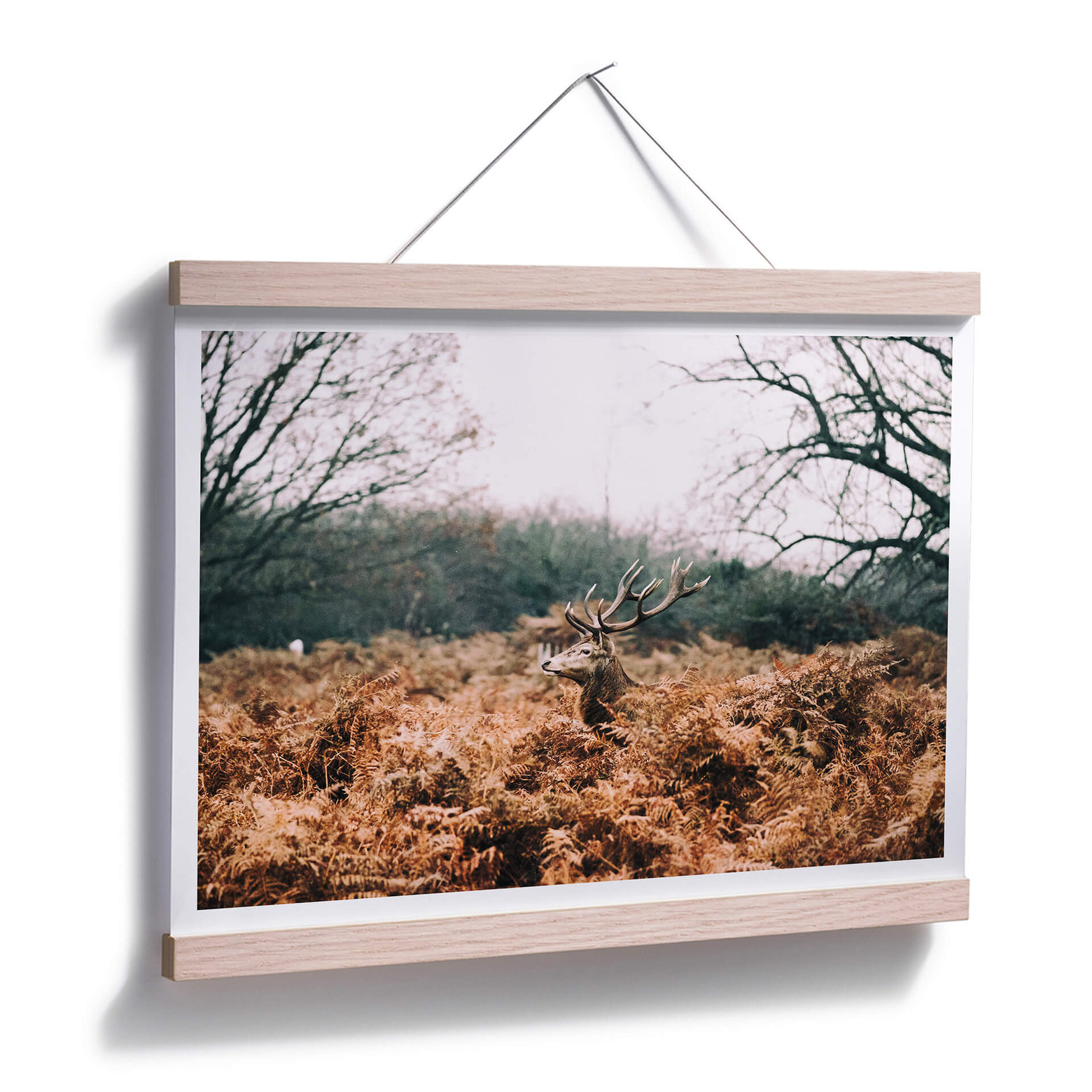 Poster Im Wald | wall-art.de