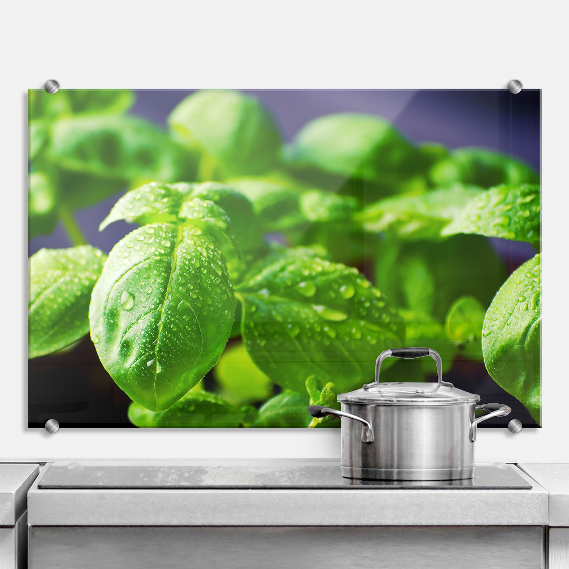 Spatscherm Verse Basilicum | wall-art.nl