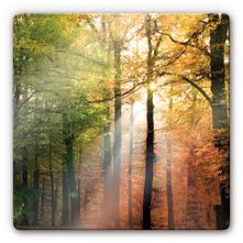 3D Wandtattoo Goldener Herbst | wall-art.de