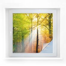 3D Wandtattoo Goldener Herbst | wall-art.de