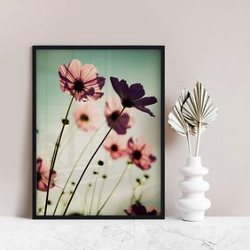 Posters / Affiches | wall-art.fr