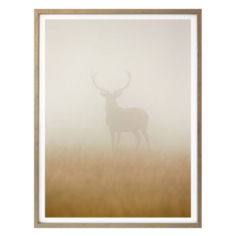 Poster Harling - Hirsch im Nebel | wall-art.de